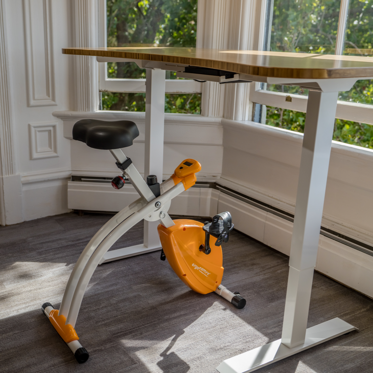 Under Desk Bike – ergonomyx